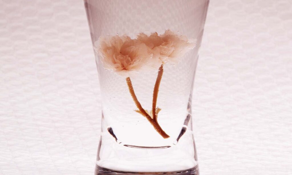 OTHERS - Japan Greentea Co., Ltd.